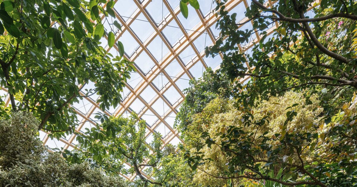 Energy Transition - Design Research Paper | DMAA